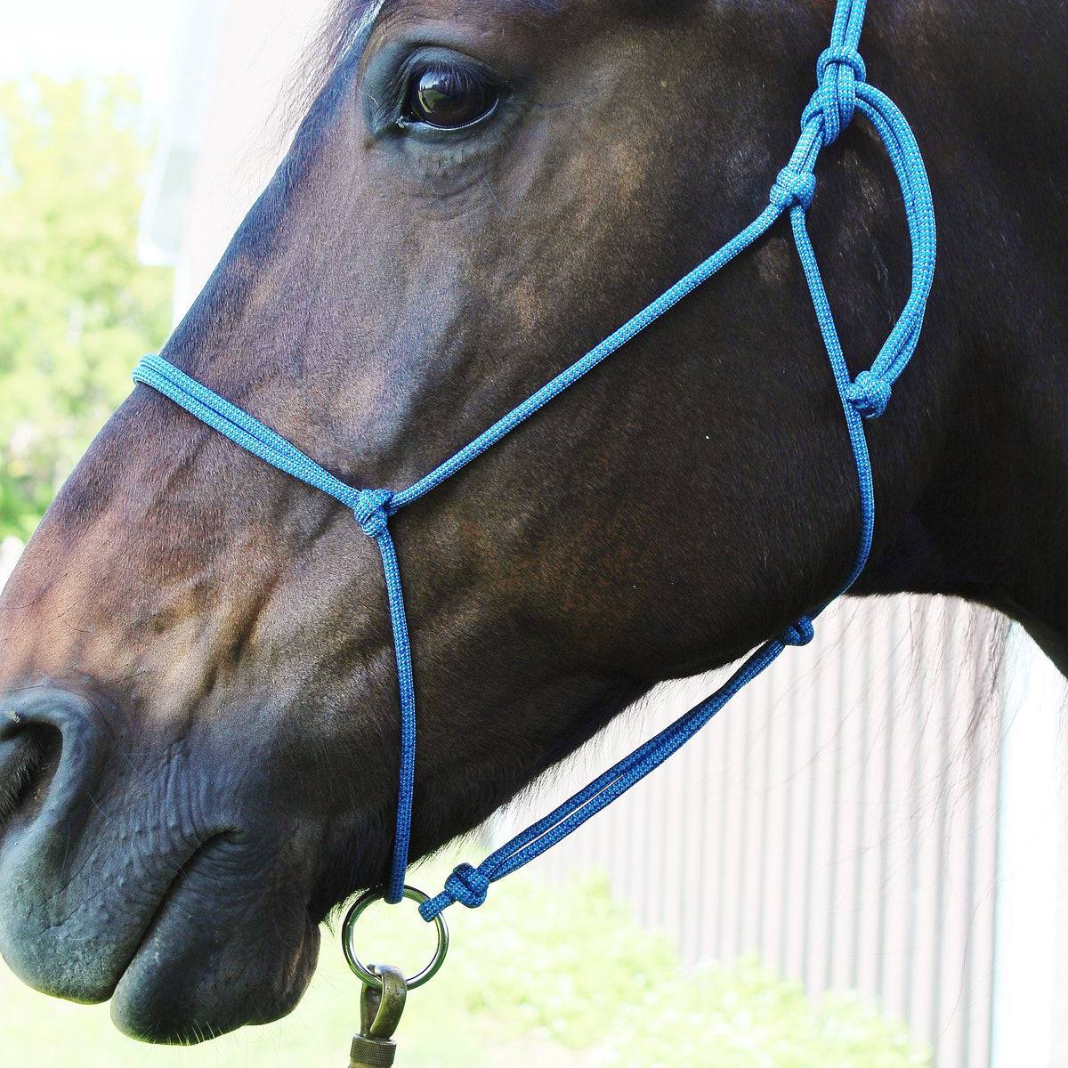 Economy Slide Ring Rope Hybrid Horse Halters – Natural Equine Connection