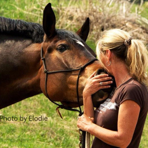 Rope Horse Training Halter with Fiador Knot – Natural Equine Connection