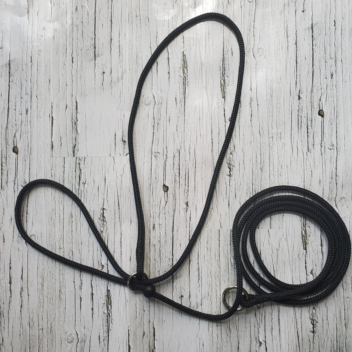 Horse Photography Feather Halter Lead Line – Natural Equine Connection
